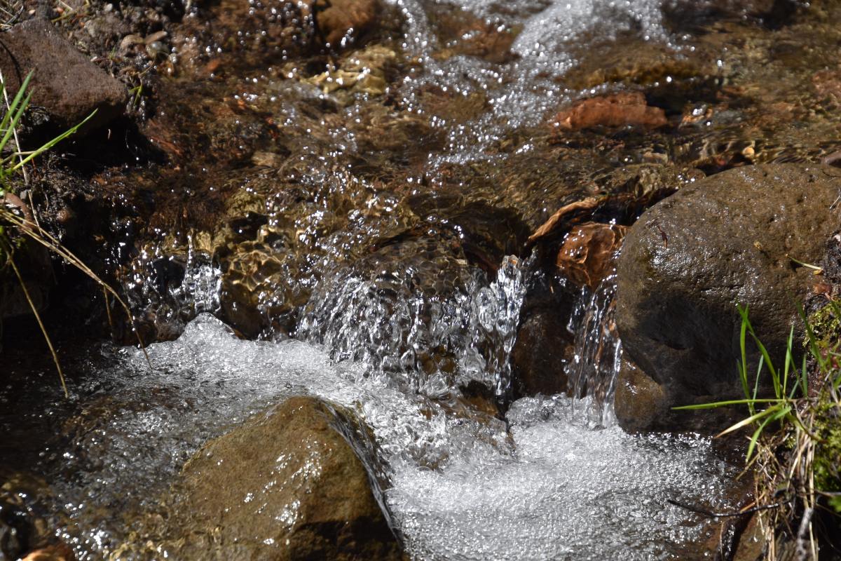Living Water – Women With Destiny